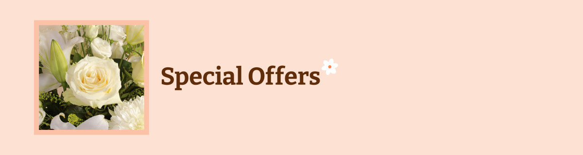Special Offers – Flower Shops Network